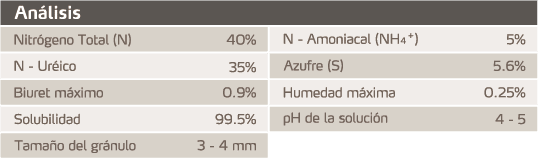 YaraVera AMIDAS - Evinco